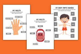 Body Parts Activity Book Graphic by Happy Time · Creative Fabrica