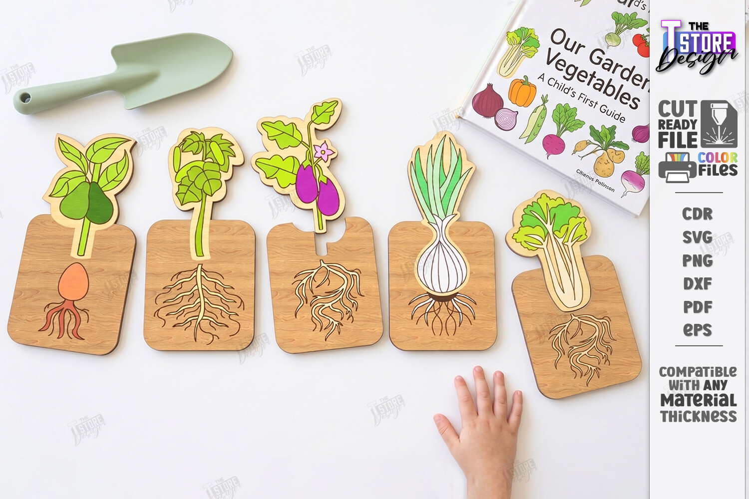 Plant Growth Lifecycle Puzzle Laser Cut · Creative Fabrica