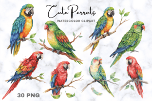 Cute Watercolor Parrots Clipart Set Graphic by creative design studio ...