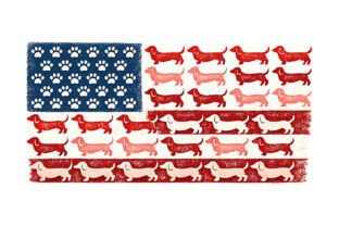 Dachshund Sausage PNG Sublimation Graphic by tentshirtstore · Creative ...