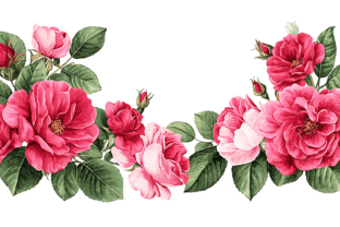 Pink Rose Floral Border Clipart Graphic by TheDesignerDesigne ...