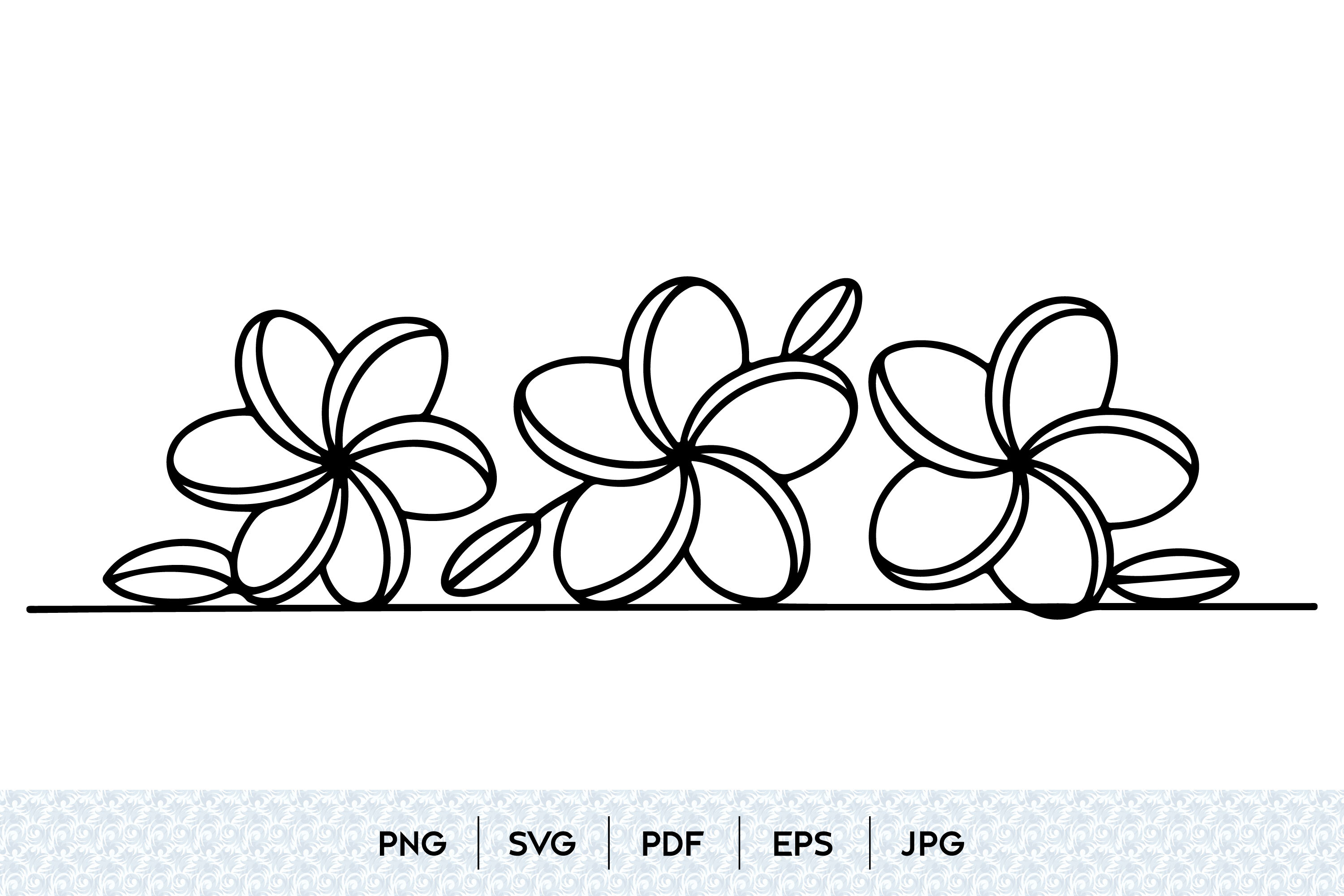 Plumeria Flower Border SVG Graphic by Team RAS · Creative Fabrica