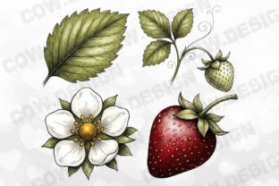 Vintage Strawberry Clipart PNG Graphic by COW.design · Creative Fabrica