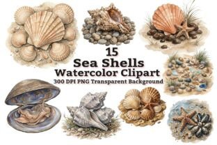 Watercolor Summer Seashell Clipart Graphic by TeesDesign · Creative Fabrica