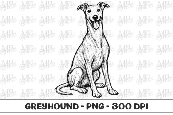 Greyhound Dog Sketch PNG Graphic by MoxiFikaDesignCo · Creative Fabrica