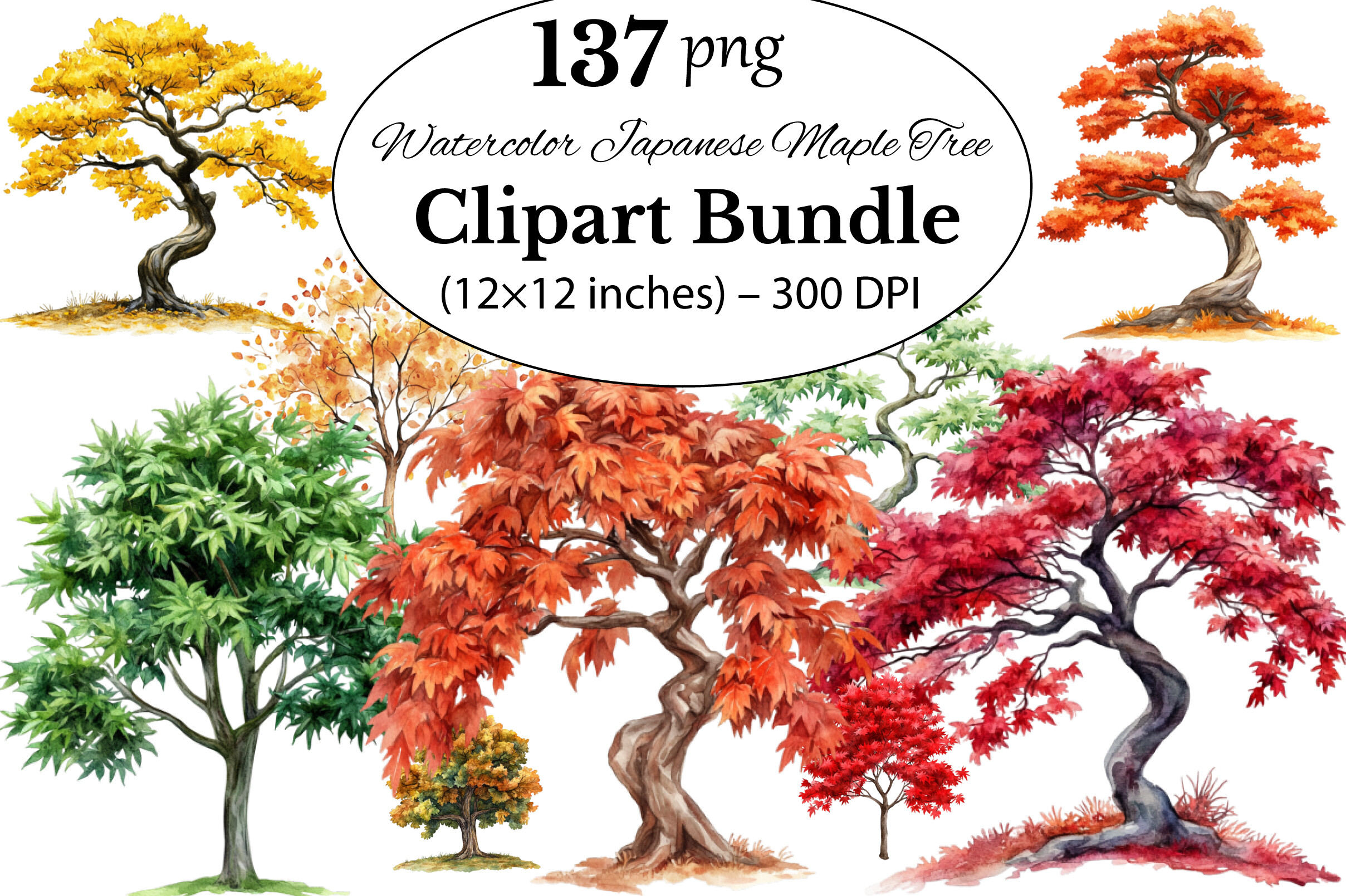Watercolor Japanese Maple Tree Clipart B Graphic by graphic point ...