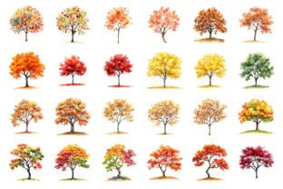 Watercolor Japanese Maple Tree Clipart B Graphic by graphic point ...