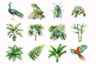 Watercolor Little Jungle Friends Clipart Graphic by Design Market ...