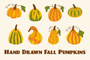 Hand Drawn Fall Pumpkins PNG Clipart Graphic by Rin Green · Creative ...