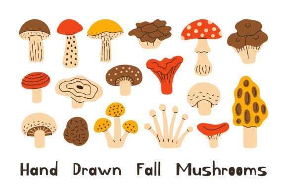Hand Drawn Forest Mushrooms PNG Clipart Graphic by Rin Green · Creative ...
