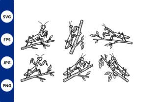Line Art Praying Mantis on Branches Set Graphic by Cute Things ...