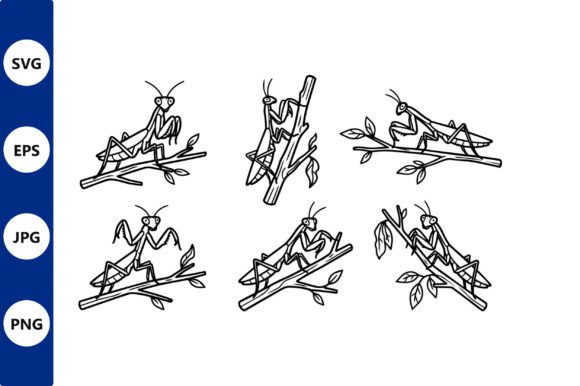 Line Art Praying Mantis on Branches Set Graphic by Cute Things ...