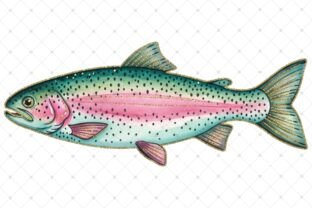 Vibrant Rainbow Trout Fish Illustration Graphic by Design Store ...