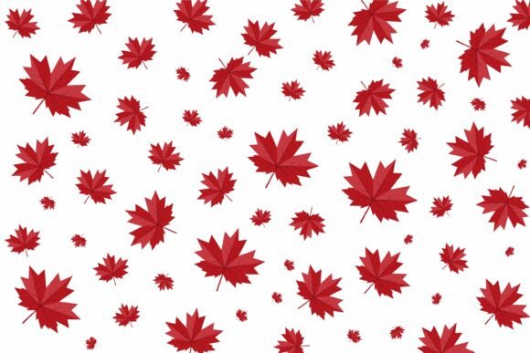 Red Maple Leaves Seamless Pattern Vector Graphic by edywiyonopp ...