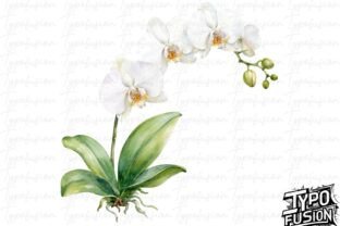 Orchid Stem Arrange Watercolor Clipart Graphic by typofusion · Creative ...