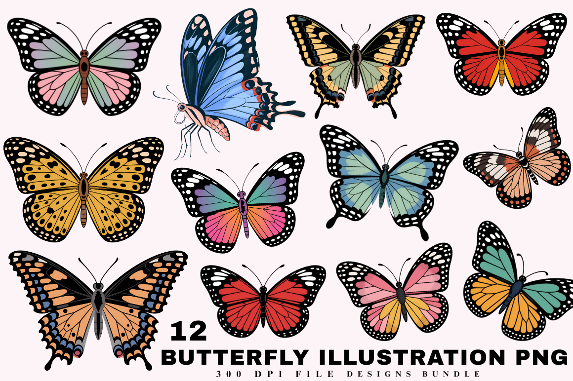 Colorful Butterfly Illustration PNG Graphic by JR Design · Creative Fabrica
