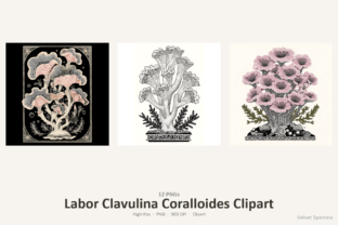 Labor Clavulina Coralloides Clipart Graphic by Velvet.Sparrow ...