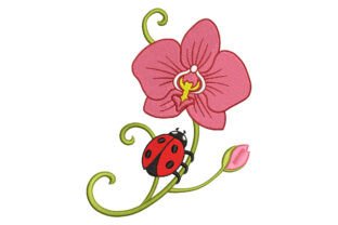 Orchid Flower and Ladybug · Creative Fabrica