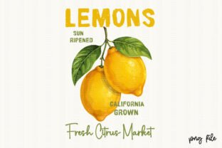 Summer Fruit PNG Retro Lemon Vintage Graphic by createaip · Creative ...