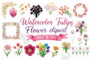Watercolor Tulip Flower Clipart Bundle Graphic by T-Shirt Pond ...