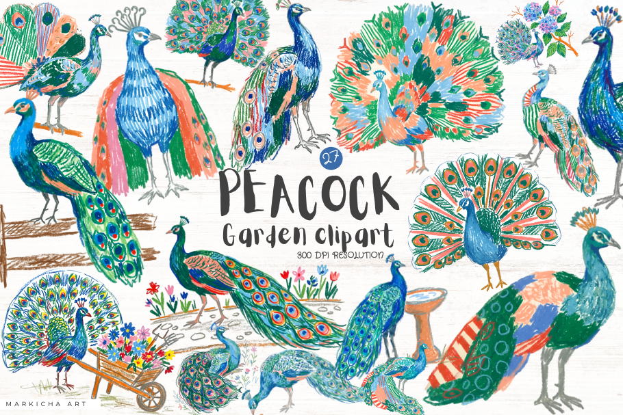 Peacock Garden Clipart Graphic by Markicha Art · Creative Fabrica