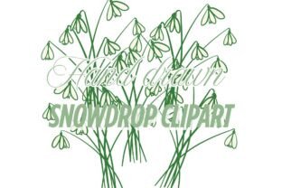 Hand Drawn Snowdrop Flowers PNG Clipart Graphic by KaroLeena · Creative ...