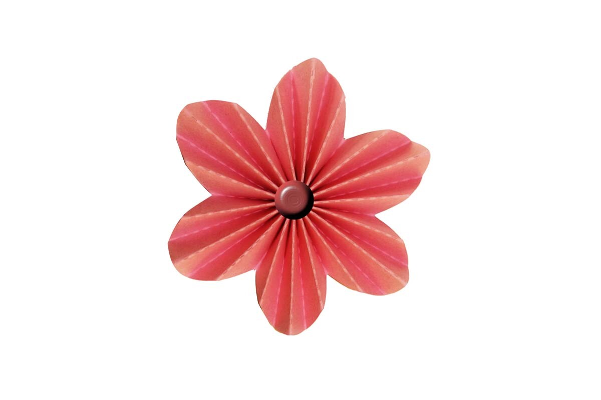 Pleated Accordion 3D Flower Paper Decor · Creative Fabrica