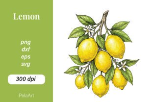 Vintage Lemon SVG Botanical Clipart Graphic by Pela Art · Creative Fabrica
