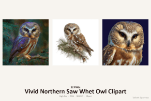 Vivid Northern Saw Whet Owl Clipart Graphic by Velvet.Sparrow ...