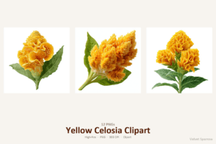 Yellow Celosia Clipart Graphic by Velvet.Sparrow · Creative Fabrica