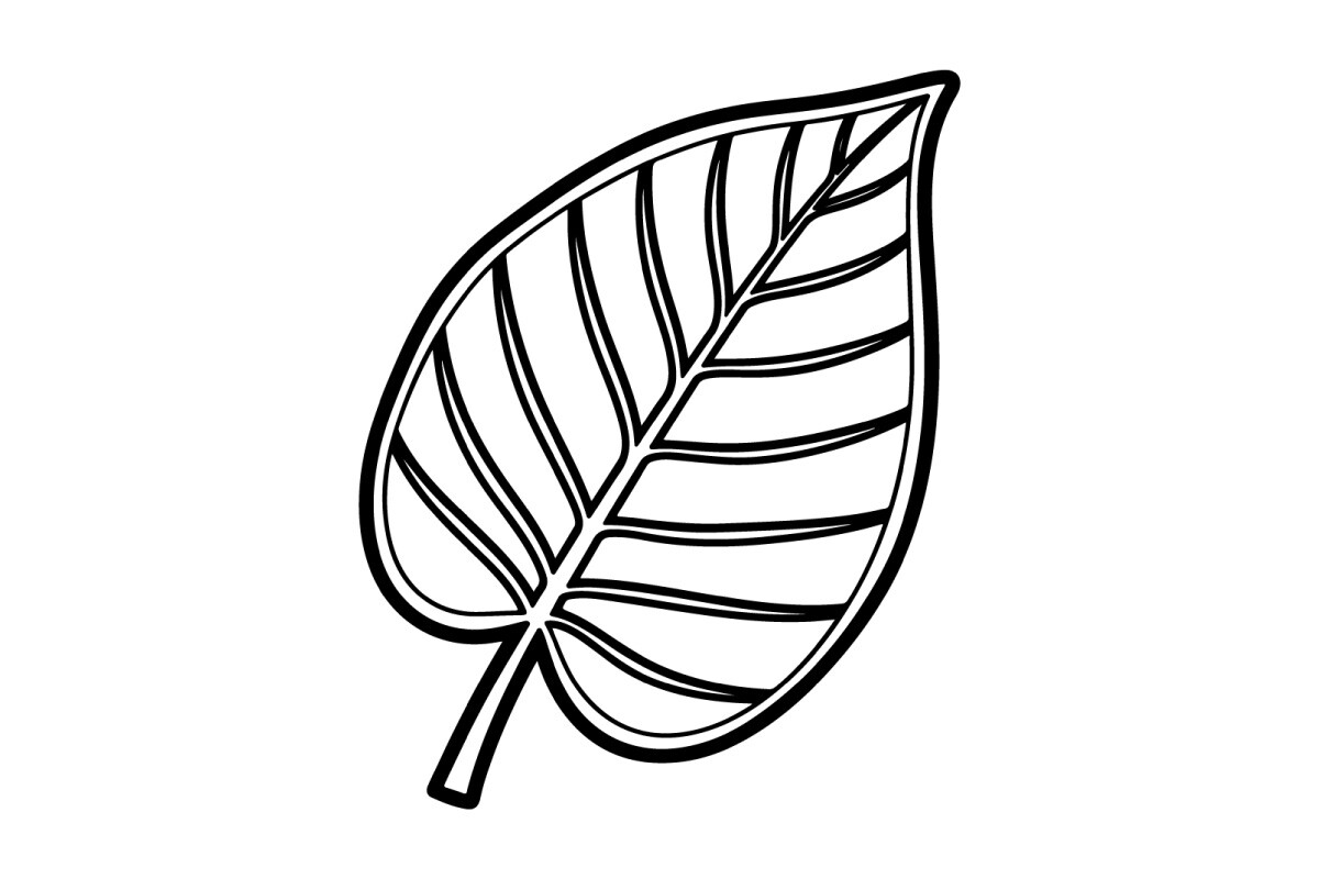 Black and White Line Art Leaf Coloring P Graphic by sctchcreations ...
