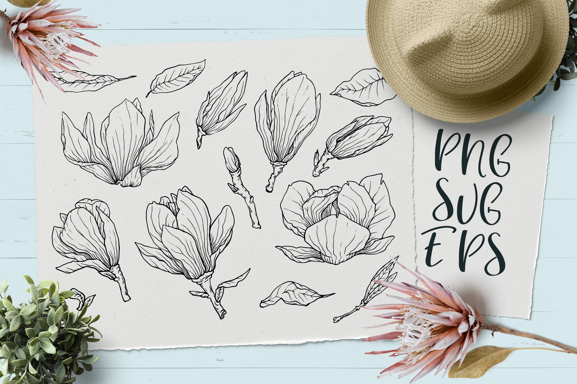 Magnolia Hand-drawn Vector Graphics SVG, Graphic by nicjulia · Creative ...