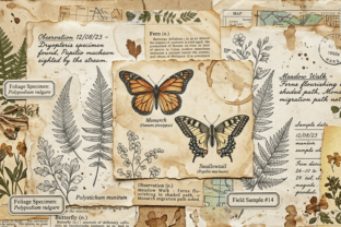 Vintage Butterfly Collage Ephemera Graphic by LifePlanStudeo · Creative ...